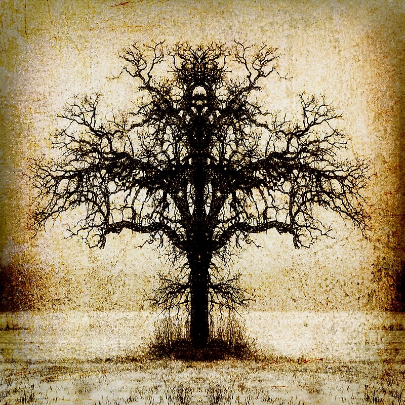 "Symmetry Tree #6" by amira | Redbubble