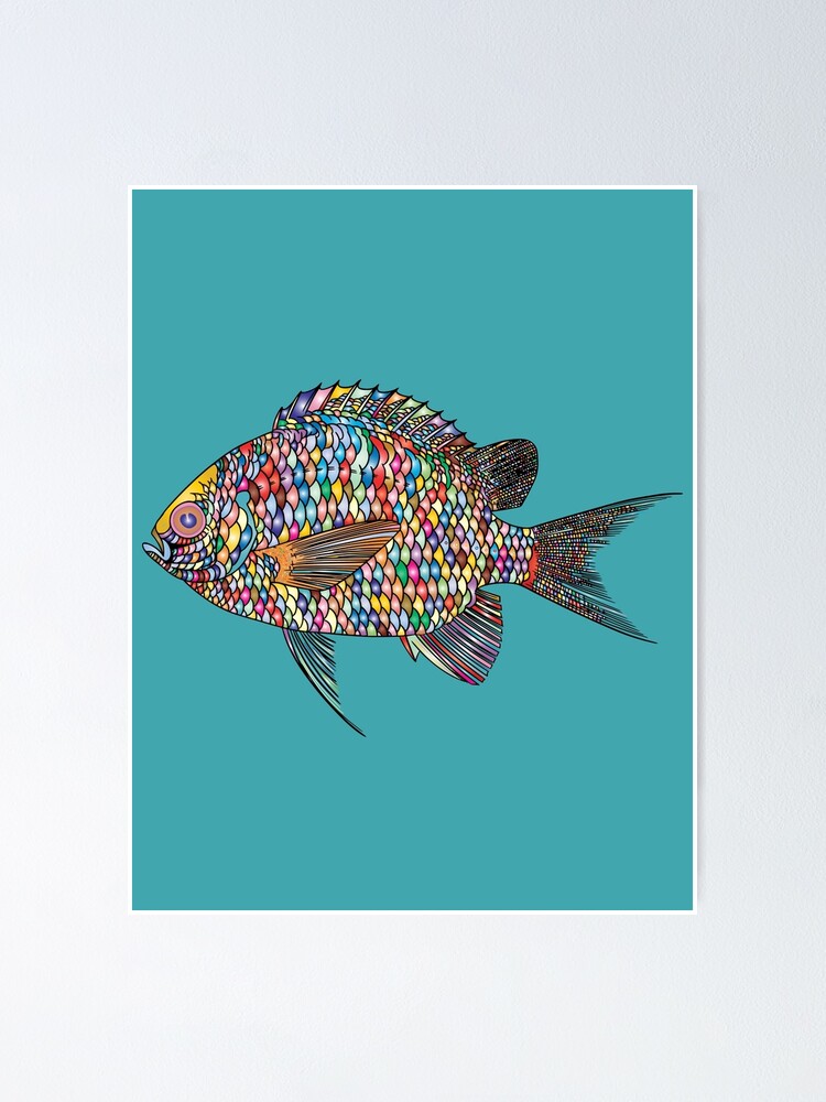 "Rainbow Fish" Poster for Sale by BlakefourDesign | Redbubble
