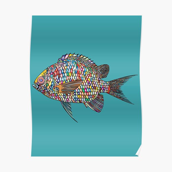 "Rainbow Fish" Poster for Sale by BlakefourDesign | Redbubble