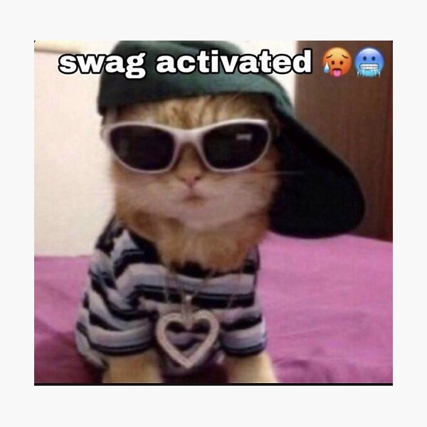 "Swag activated cat meme" Photographic Print for Sale by yaninadiamond ...