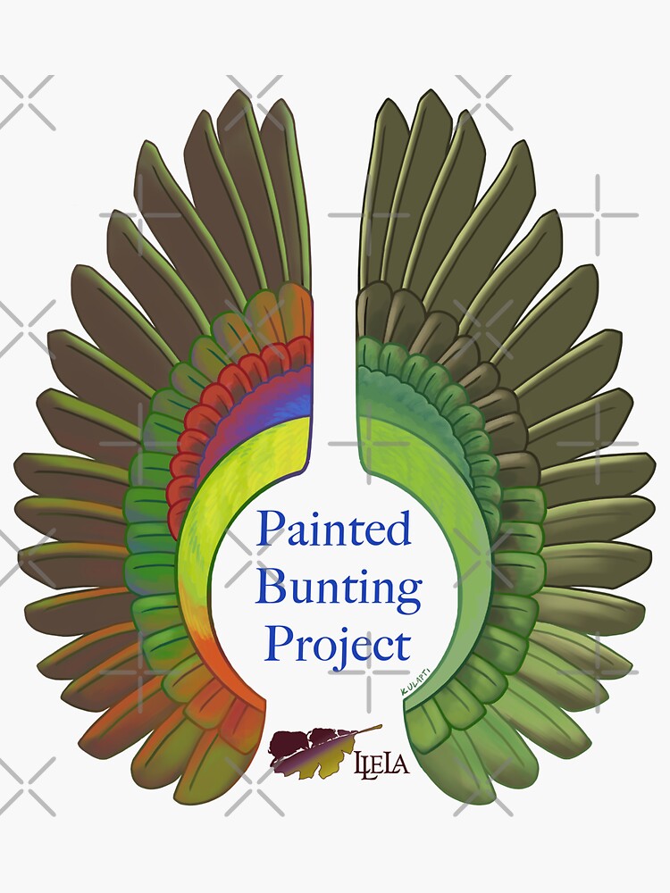 "Painted Bunting Project logo" Sticker for Sale by kulapti | Redbubble