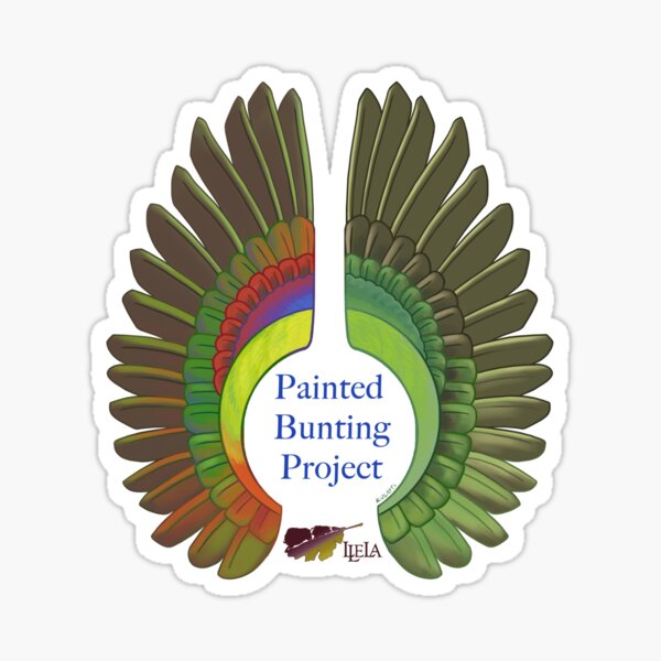 "Painted Bunting Project logo" Sticker for Sale by kulapti | Redbubble