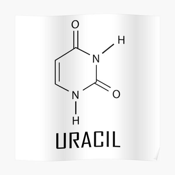 Póster «Uracilo - Fórmula estructural» de designlad | Redbubble