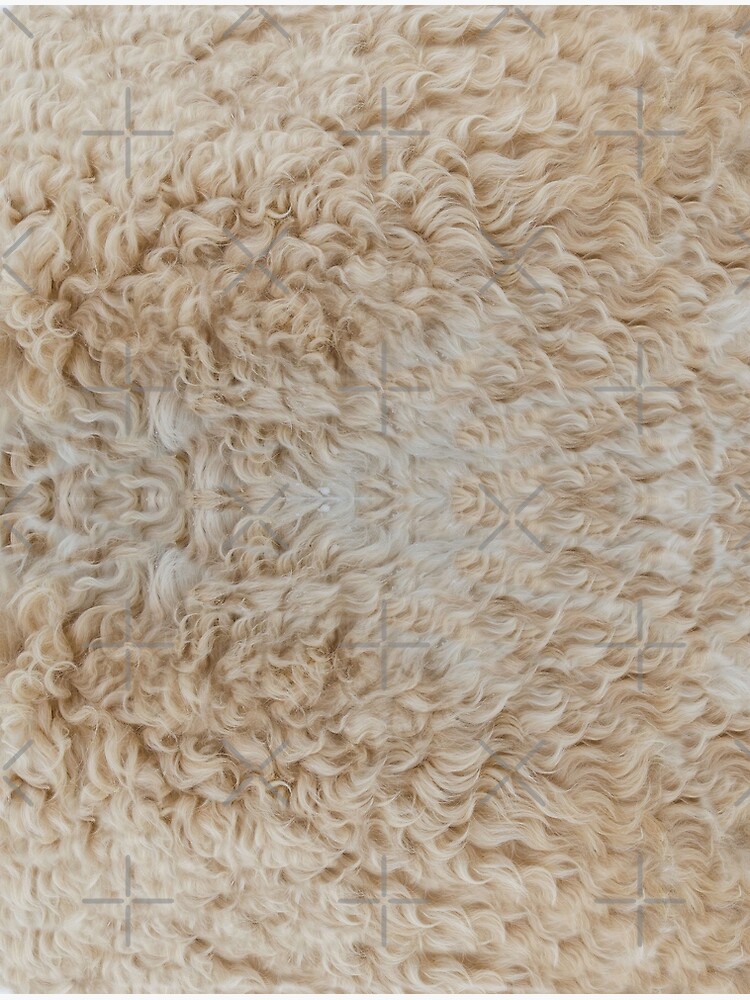 "sheep wool " Poster for Sale by FotoLibreStudio | Redbubble
