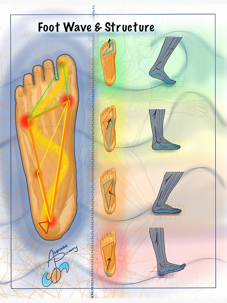 "Foot Wave and Structure" Poster for Sale by AdaptablePolar | Redbubble