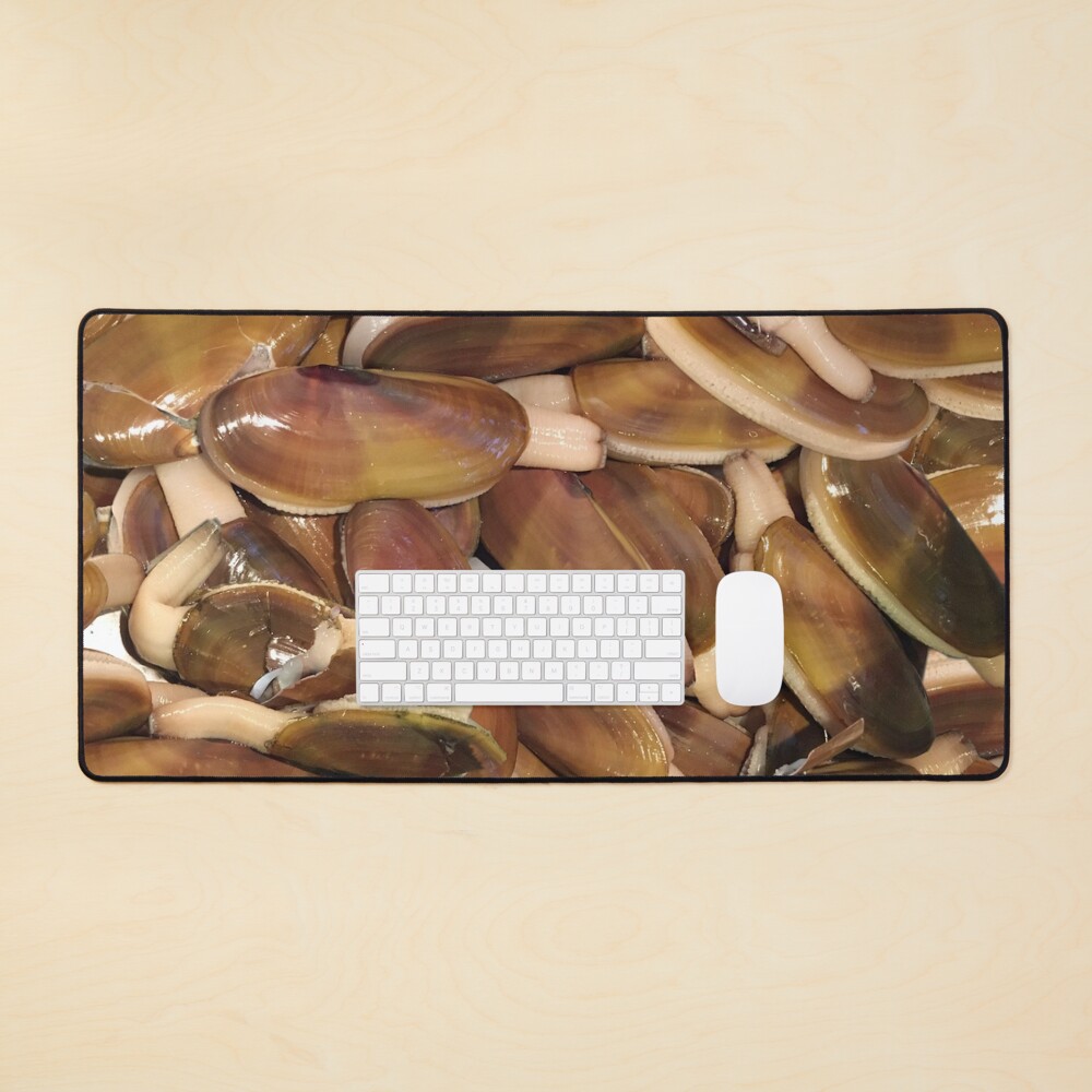 "Pacific Northwest Razor Clams from Ocean Shores, Washington State ...