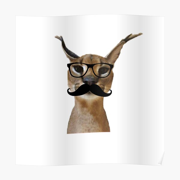 "Zabloing meme" Poster for Sale by letsenjoy | Redbubble