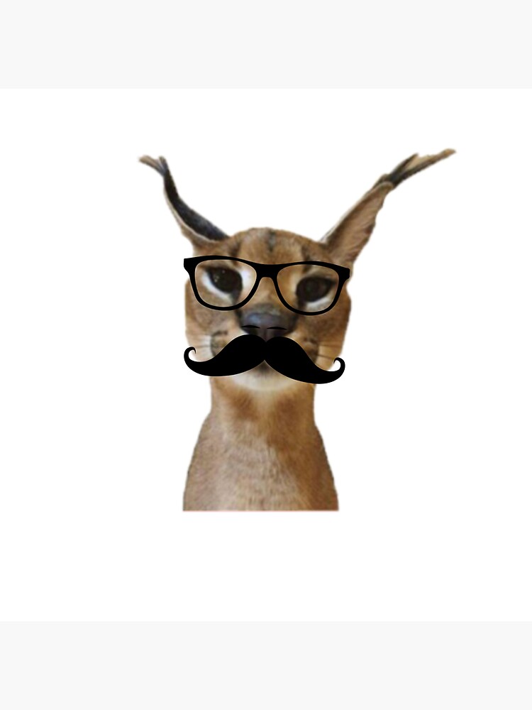 "Zabloing meme" Sticker for Sale by letsenjoy | Redbubble