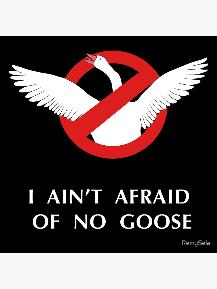 "I Ain’t Afraid of No Goose (black background white text)" Sticker for ...