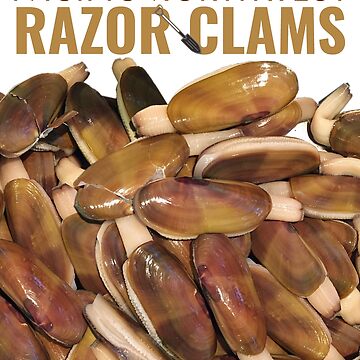 "Pacific Northwest Razor Clams from Ocean Shores, Washington State ...