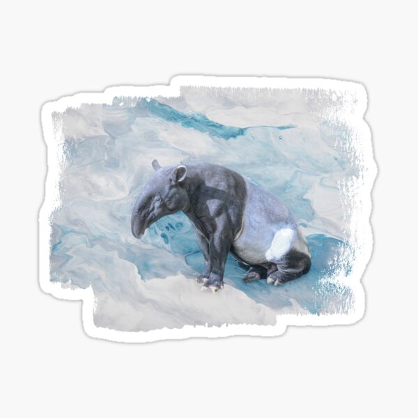 "Malayan Tapir Two" Sticker for Sale by fineart2017 | Redbubble