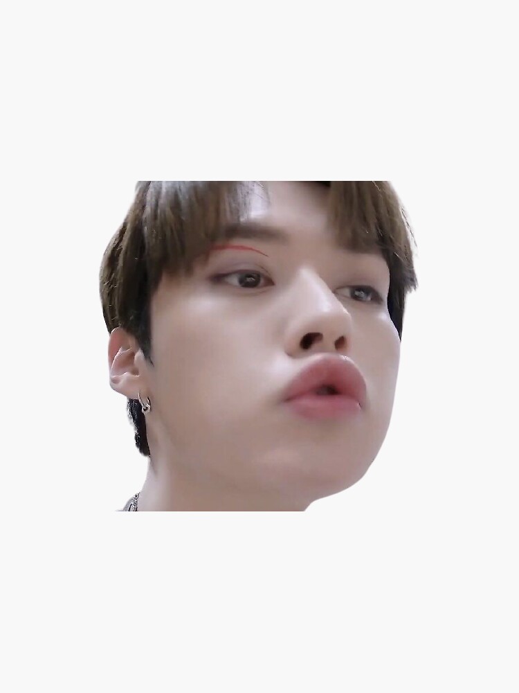 "Lee Know Pout Meme" Sticker for Sale by borabubble | Redbubble