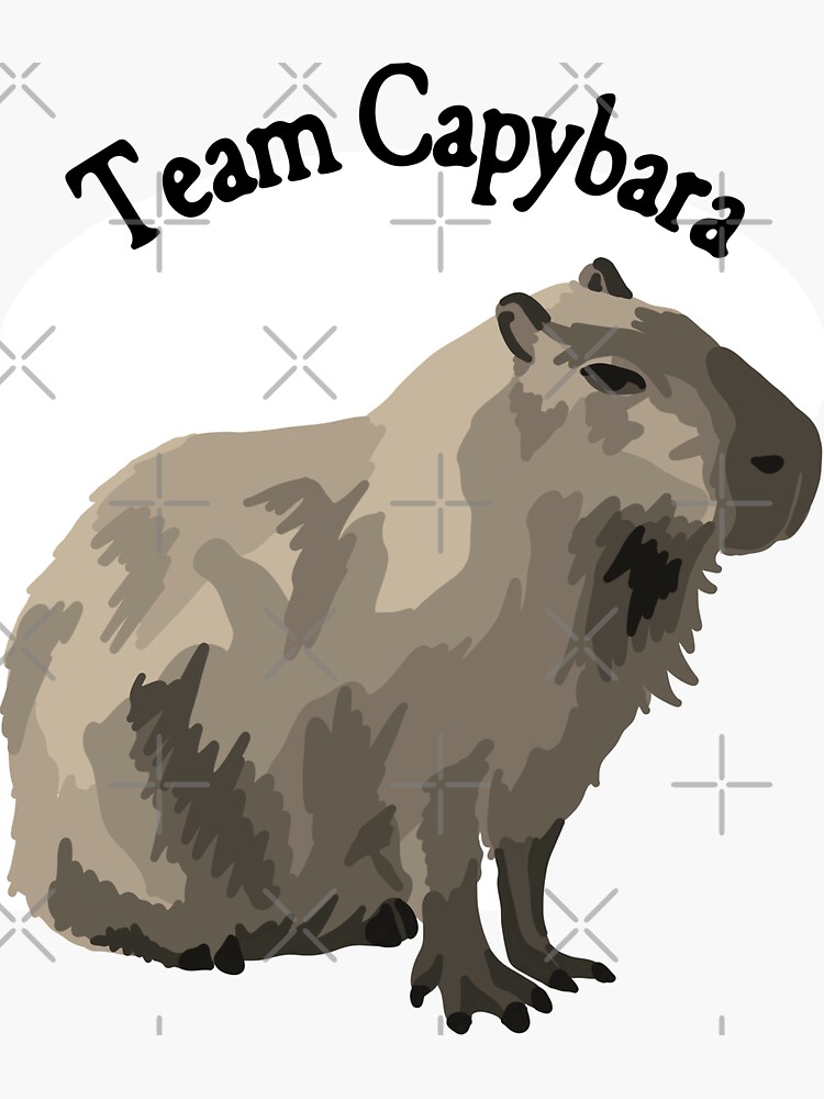 "Team Capybara" Sticker for Sale by unhingedheather | Redbubble