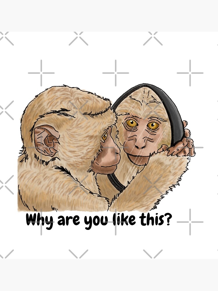 "Why Are You Like This - Disappointed Monkey with Mirror" Poster for ...