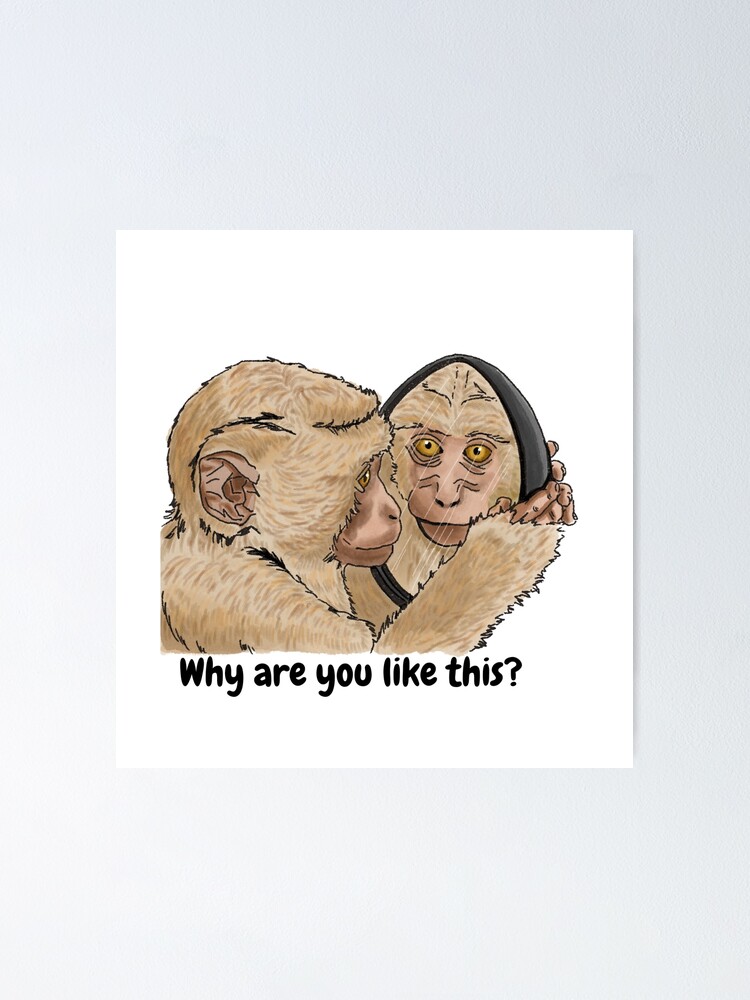 "Why Are You Like This - Disappointed Monkey with Mirror" Poster for ...