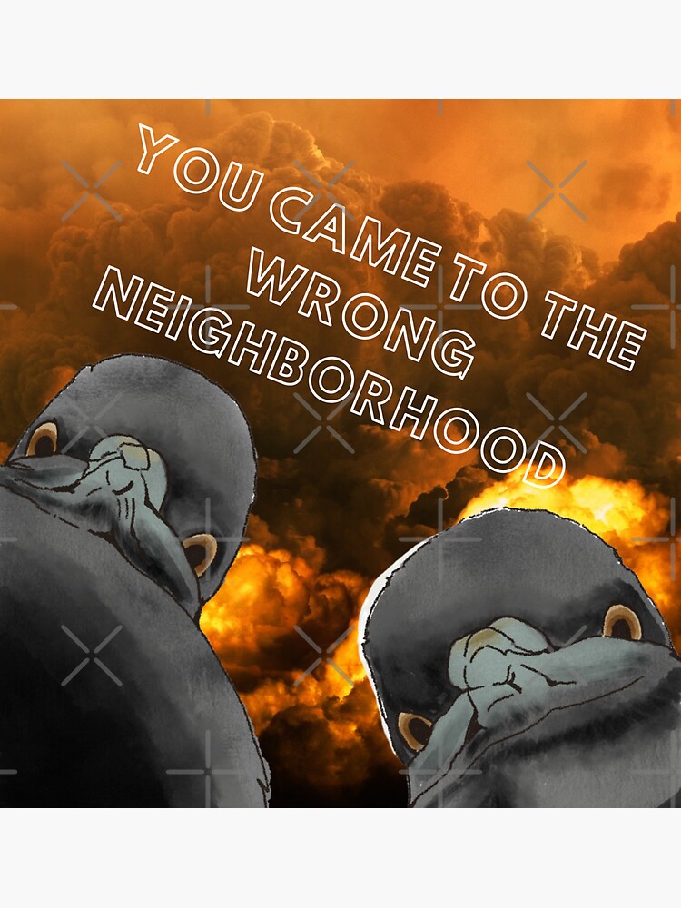 "You Came to the Wrong Neighborhood - Angry Funny Pigeon" Sticker for Sale by BunnyBizarre ...