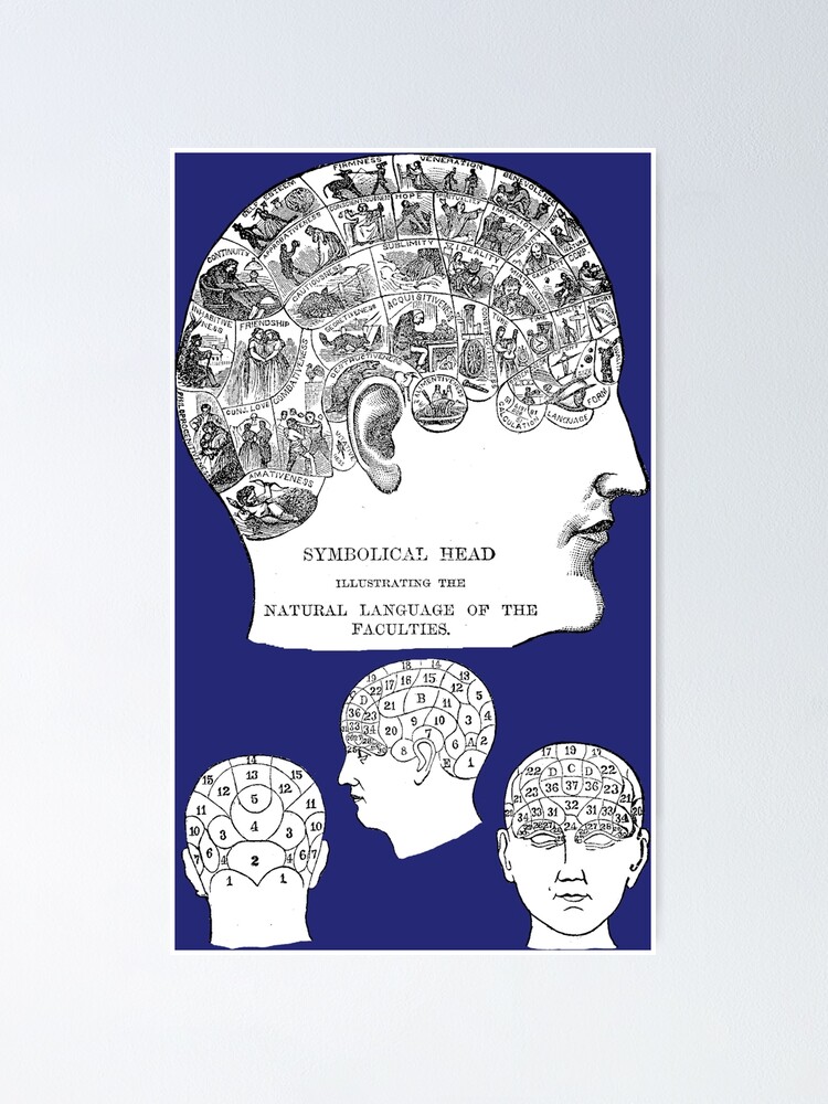 "Victorian Illustration of the Four Views of the Phrenological Head ...