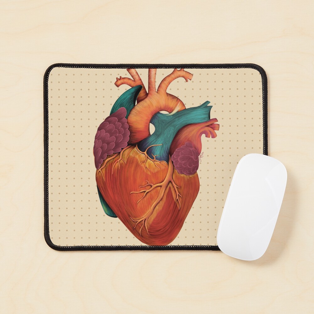 "Anatomical Human Heart - Textbook Colors" Sticker for Sale by fayee8 ...