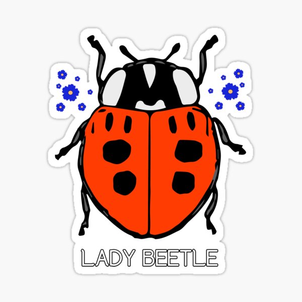 "Cute Lady Beetle" Sticker for Sale by 0GThreadsOnline | Redbubble