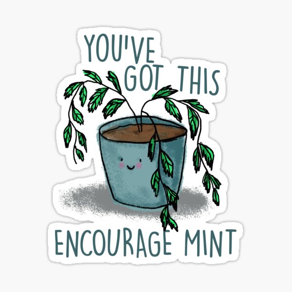 "You've Got This – Encourage Mint © chunkamunka" Sticker for Sale by ...