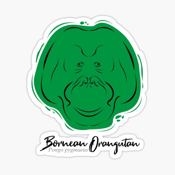 "Bornean Orangutan Illustration " Sticker by pick-today | Redbubble