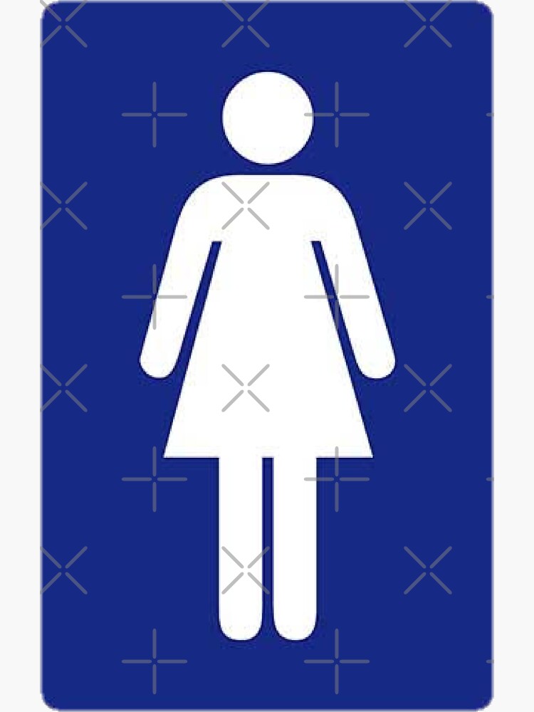 "Woman Toilet Panel" Sticker for Sale by RIAD16 | Redbubble