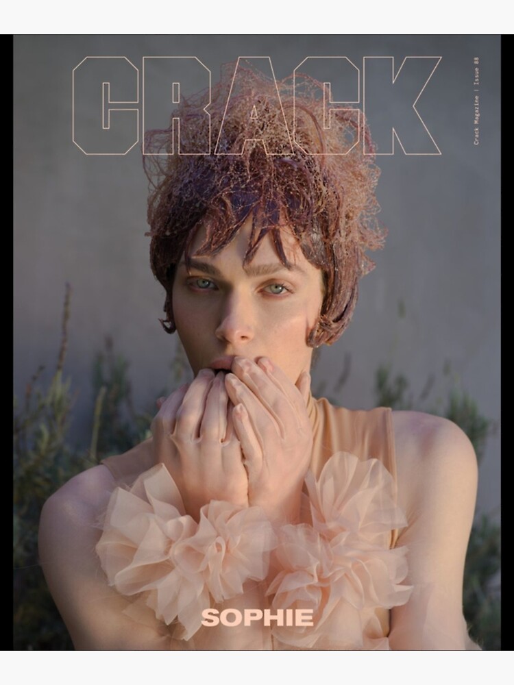"Sophie msmsmsm " Poster for Sale by ZachHartArtCo | Redbubble