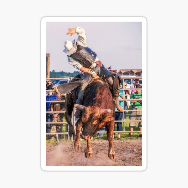 "Bull rider" Sticker for Sale by joesaladino | Redbubble
