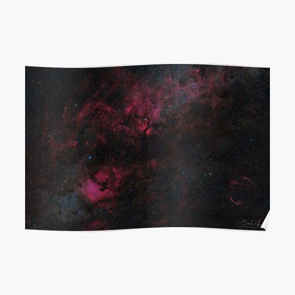 "Cygnus Filaments" Poster for Sale by Astronewton | Redbubble