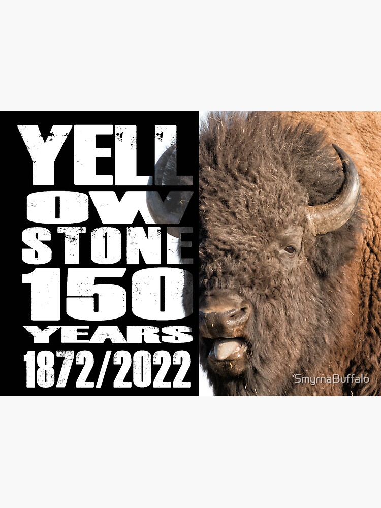 "Bison 150 Year of Yellowstone - Yellowstone 150 years old" Sticker for ...