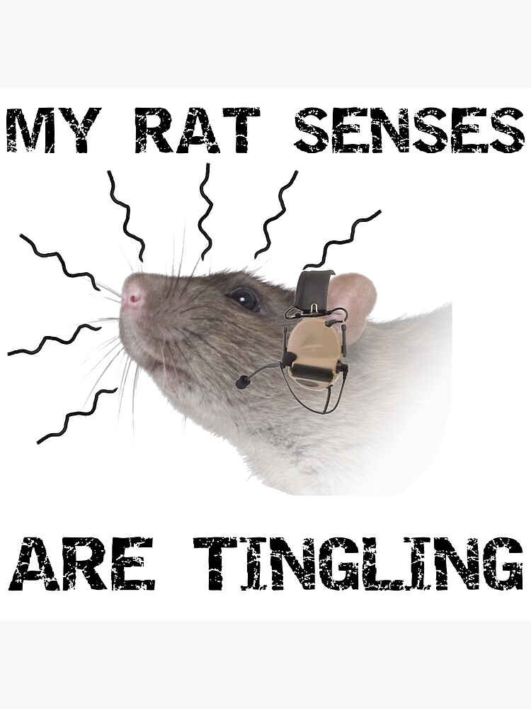 "My Rat Senses Are Tingling - Escape from Tarkov - Black" Art Print for ...