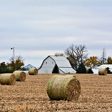 "Stover Bales" Sticker for Sale by Duane Klipping | Redbubble