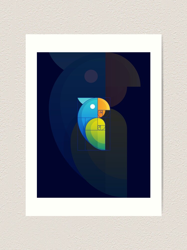 "Fibonacci parrot" Art Print by urban-color | Redbubble