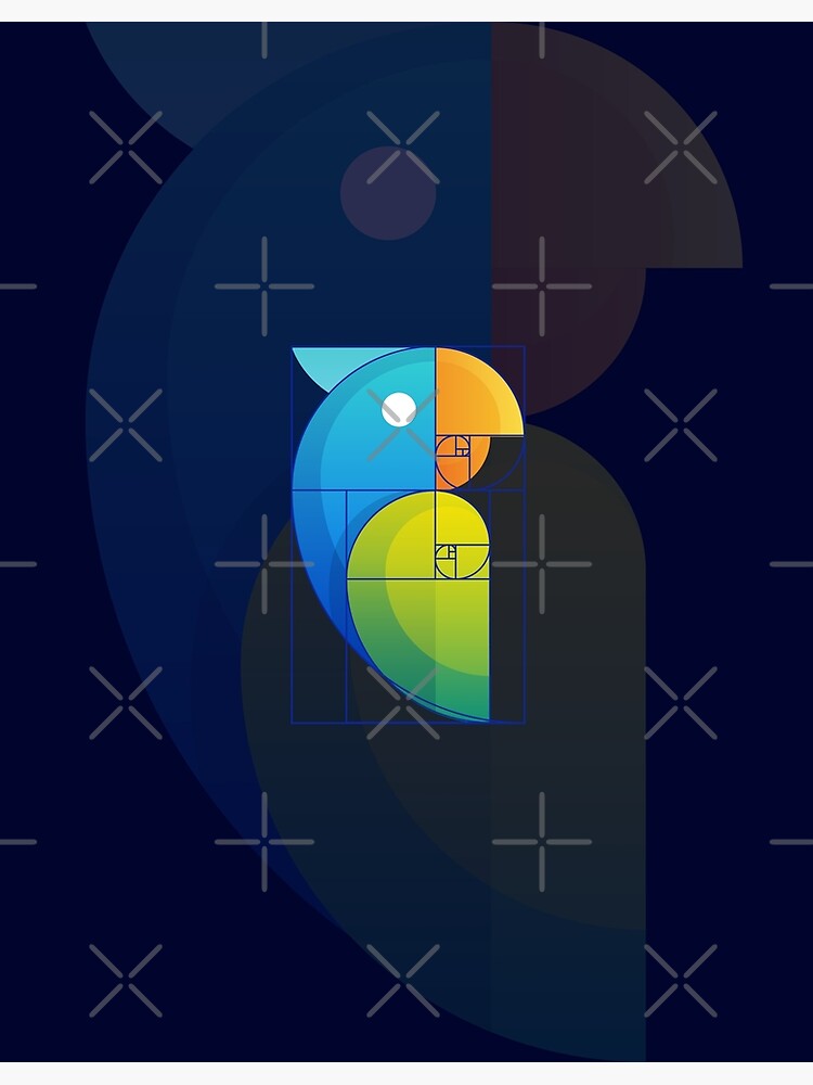 "Fibonacci parrot" Art Print by urban-color | Redbubble