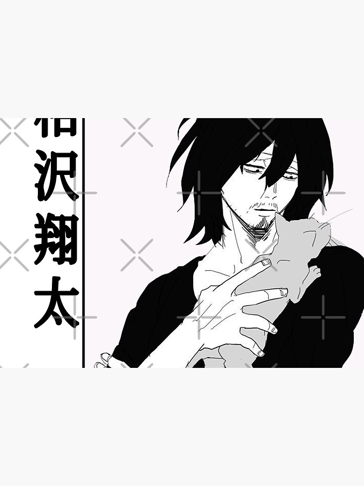 "Shota Aizawa with Cat, My Hero Academia, Mha Anime, Bnha, Eraser Head ...