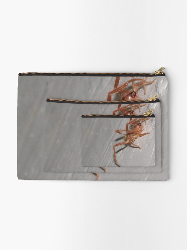 "Rooi roman - Arachnid Solifugae - Red Roman" Zipper Pouch for Sale by ...