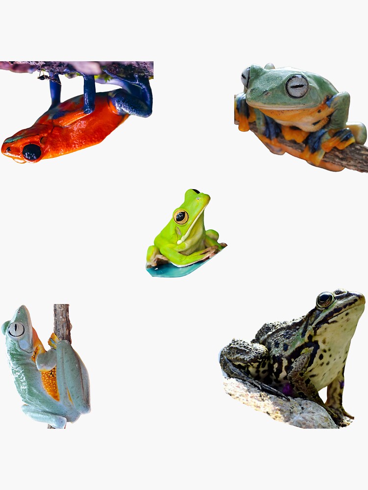 "1st Angry Frogs Sticker Package. Funny, Adorable Frogs And Toads For ...