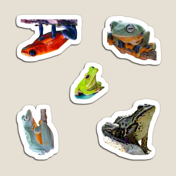 "1st Angry Frogs Sticker Package. Funny, Adorable Frogs And Toads For ...