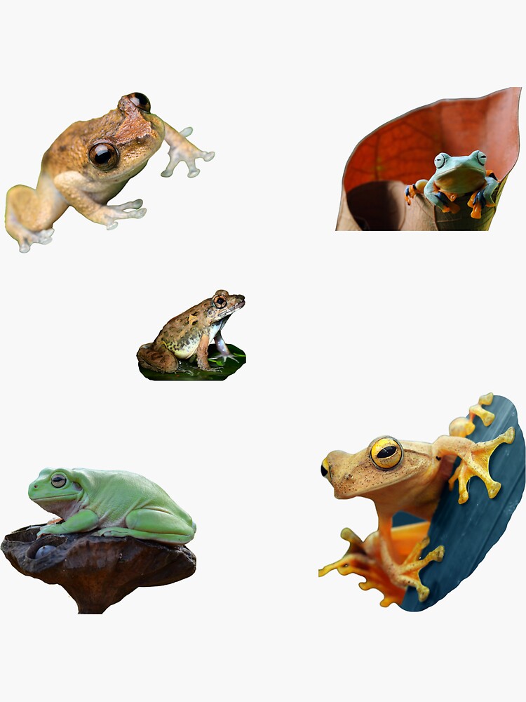 "2nd Angry Frogs Sticker Package. Funny, Adorable Frogs And Toads For ...