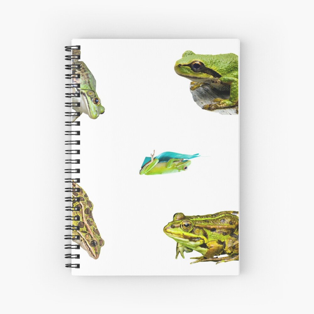 "3rd Angry Frogs Sticker Package. Funny, Adorable Frogs And Toads For ...