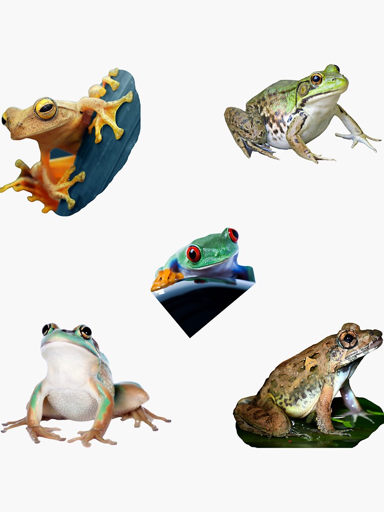 "2nd Confused Frogs Sticker Package. Funny, Adorable Frogs And Toads ...