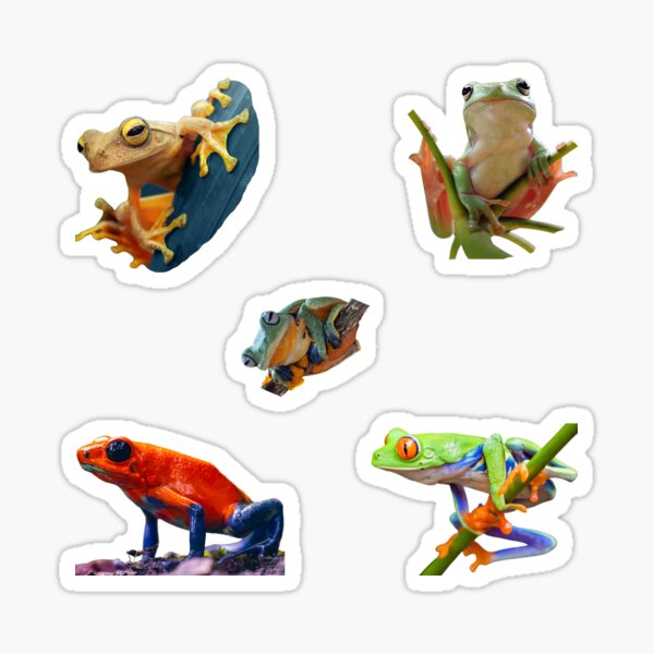 "1st Cute Frogs Sticker Package. Funny, Adorable Frogs And Toads For ...