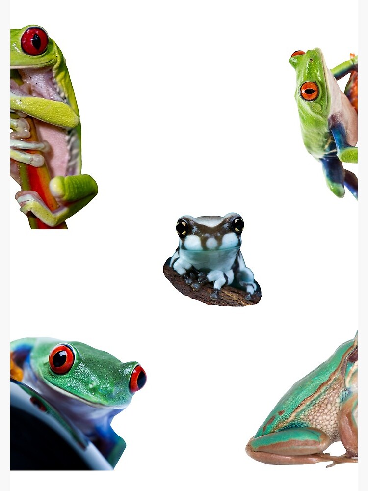 "2nd Cute Frogs Sticker Package. Funny, Adorable Frogs And Toads For ...