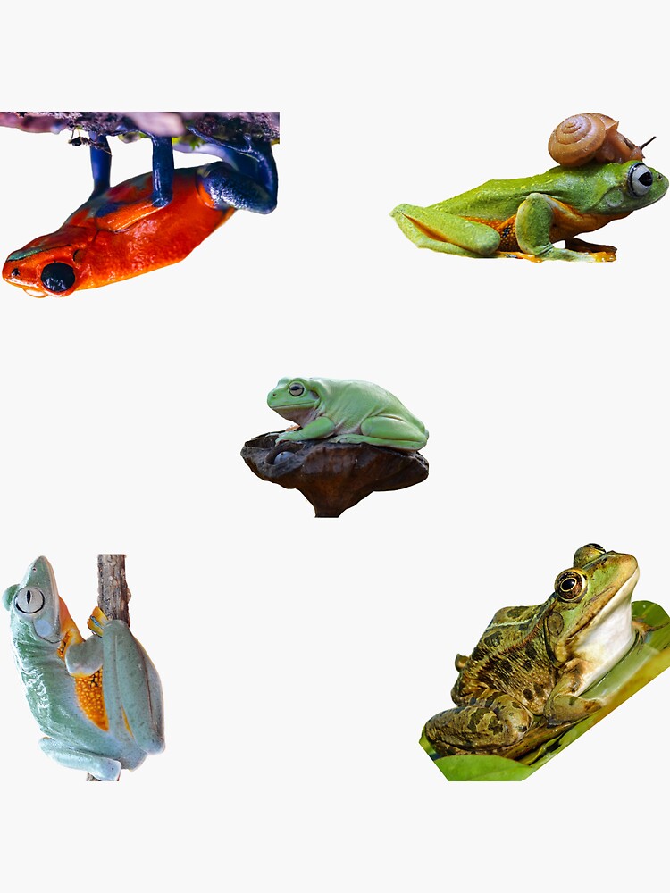 "1st Depressed Frogs Sticker Package. Funny, Adorable Frogs And Toads ...