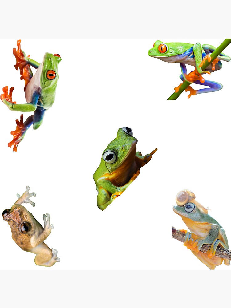 "1st Goofy Frogs Sticker Package. Funny, Adorable Frogs And Toads For ...