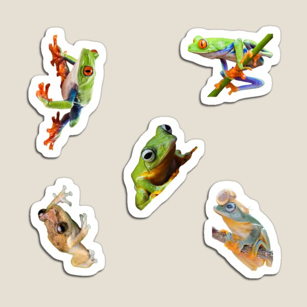 "1st Goofy Frogs Sticker Package. Funny, Adorable Frogs And Toads For ...