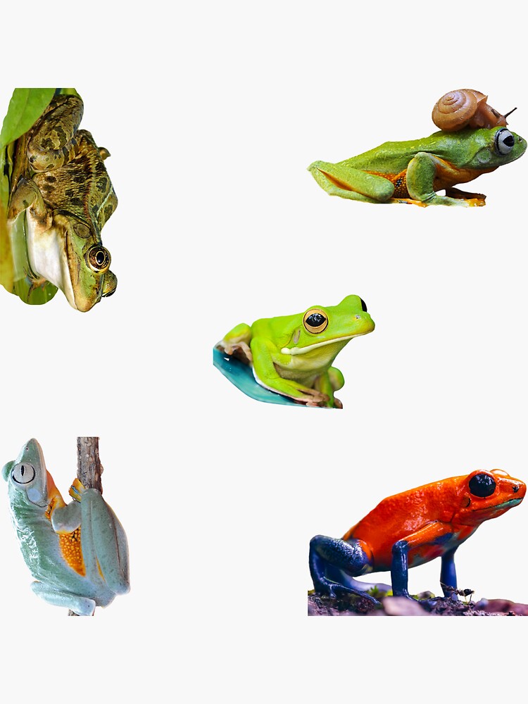 "1st Sad Frogs Sticker Package. Funny, Adorable Frogs And Toads For ...