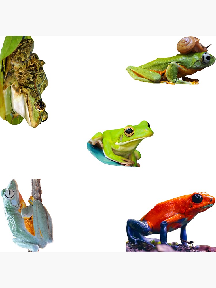 "1st Sad Frogs Sticker Package. Funny, Adorable Frogs And Toads For ...