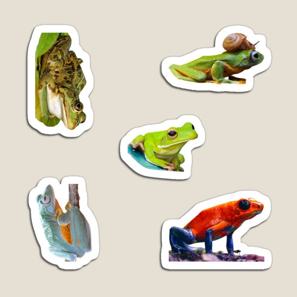 "1st Sad Frogs Sticker Package. Funny, Adorable Frogs And Toads For ...