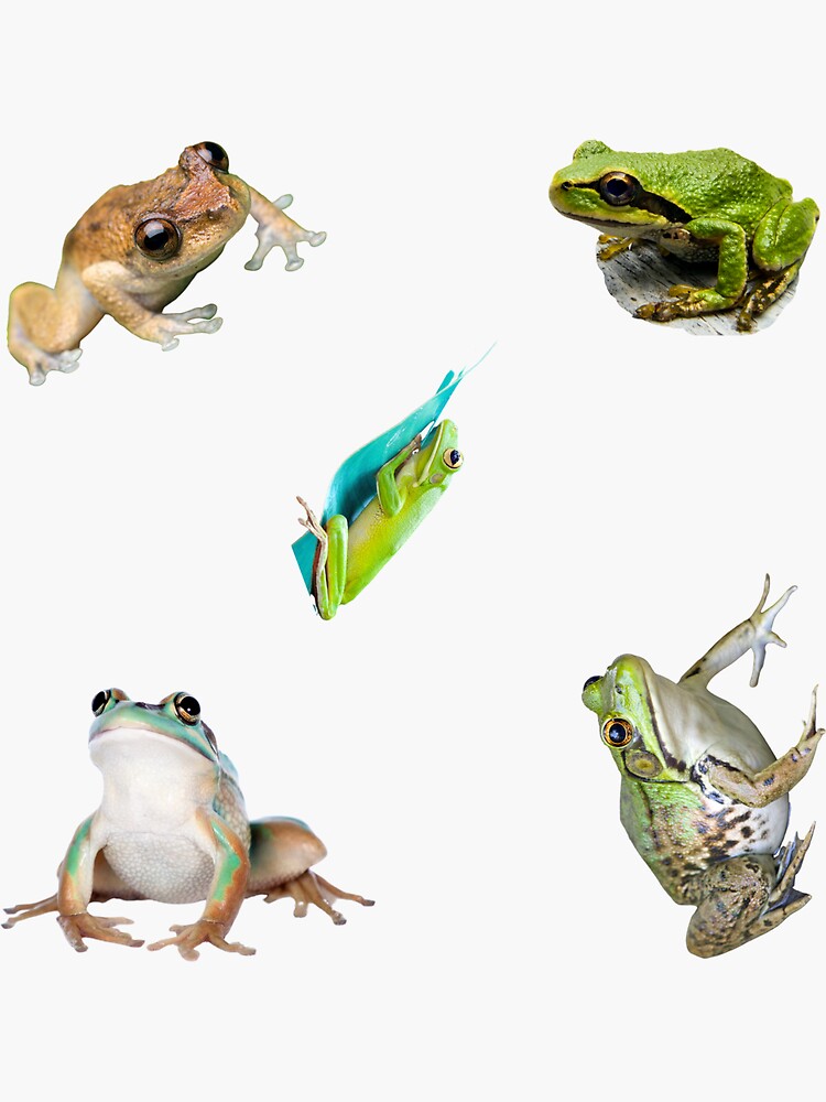 "2nd Sad Frogs Sticker Package. Funny, Adorable Frogs And Toads For ...